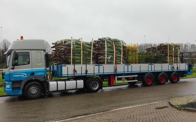 Luxe Nordmann Kerstboom Geïmpregneerd - kerstboom.nl Luxe Nordmann Kerstboom Geïmpregneerd - kerstboom.nl